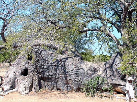 Southern Zambia: Victoria Falls, Lake Kariba and the Zambezi | Maggie ...